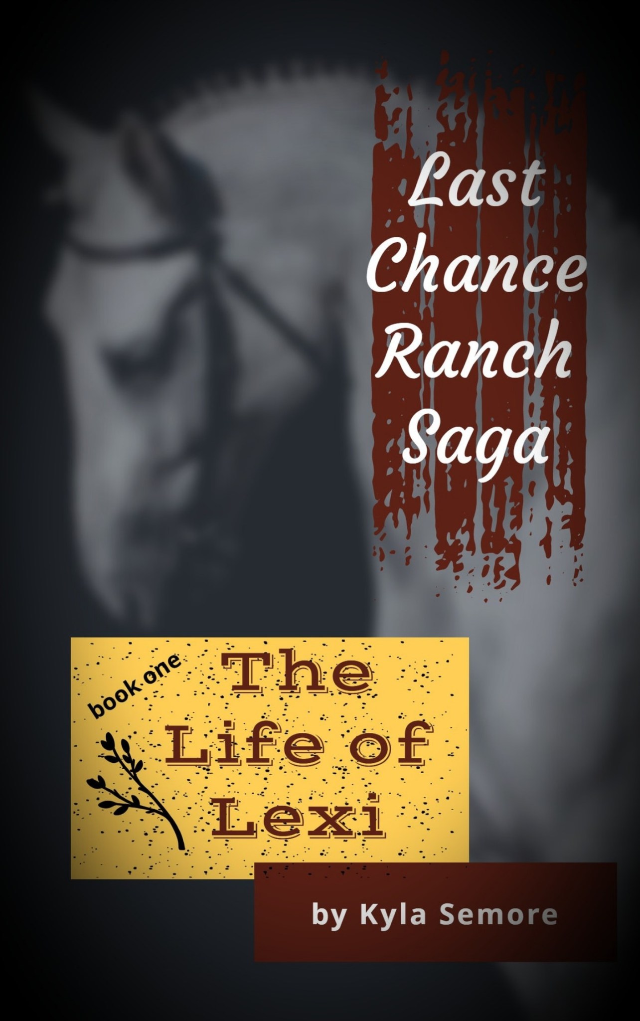 The Last Chance Ranch Saga by Kyla Semore – Country western fiction ...